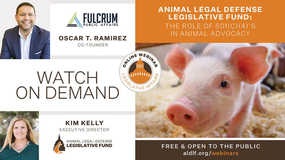 Animal Legal Defense Legislative Fund